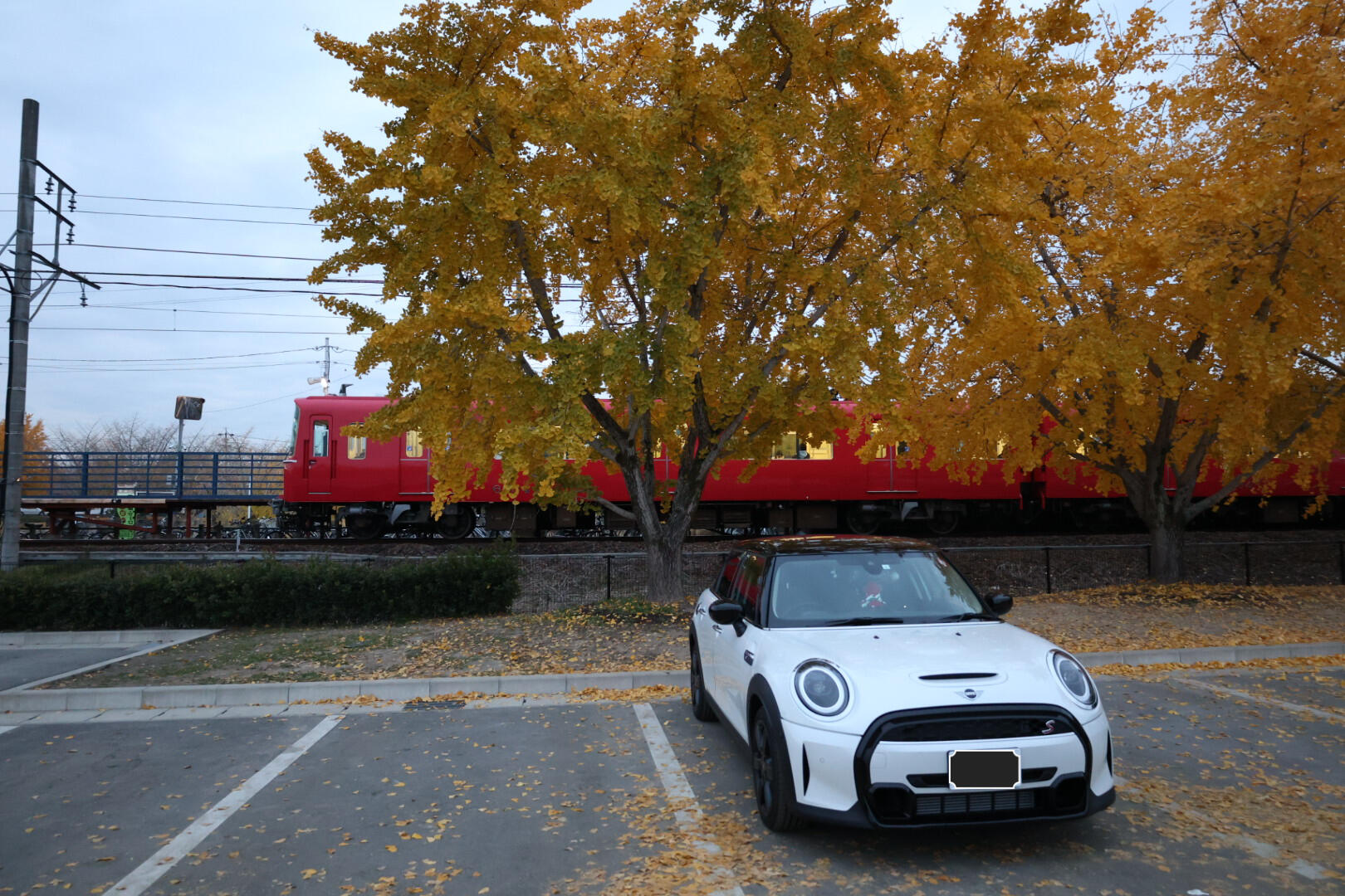 祖父江ぎんなんパーク🍂 - MINI 春日井 / MINI NEXT 春日井・MINI 緑・MINI 中川 / MINI NEXT 中川 ...